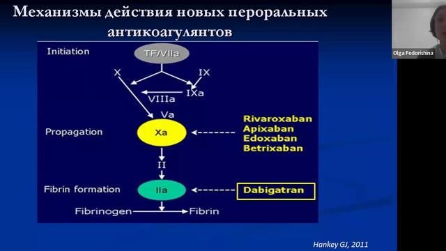 31-05-22 Федоришина ОВ Фибрилляция и трепетание предсердий у взрослых.mp4