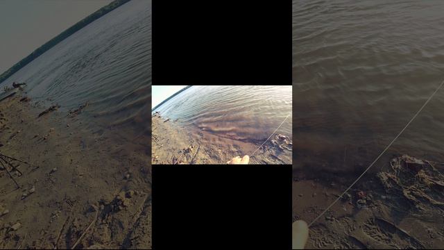 Не ОЖИДАЛ такой ПОКЛЁВКИ#shorts