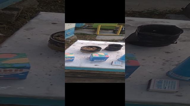 Как сохранить пустые рамки (сушка). Чем обрабатывать сушку на хронение.