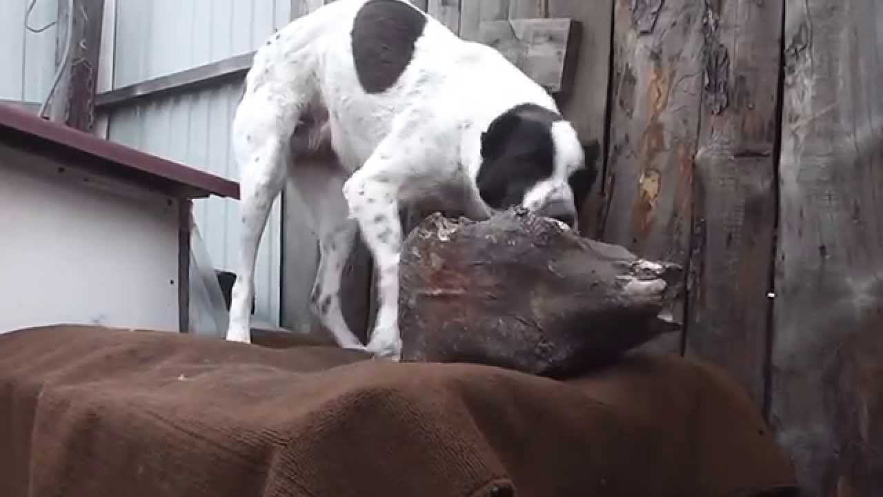 Затруднительная ситуация