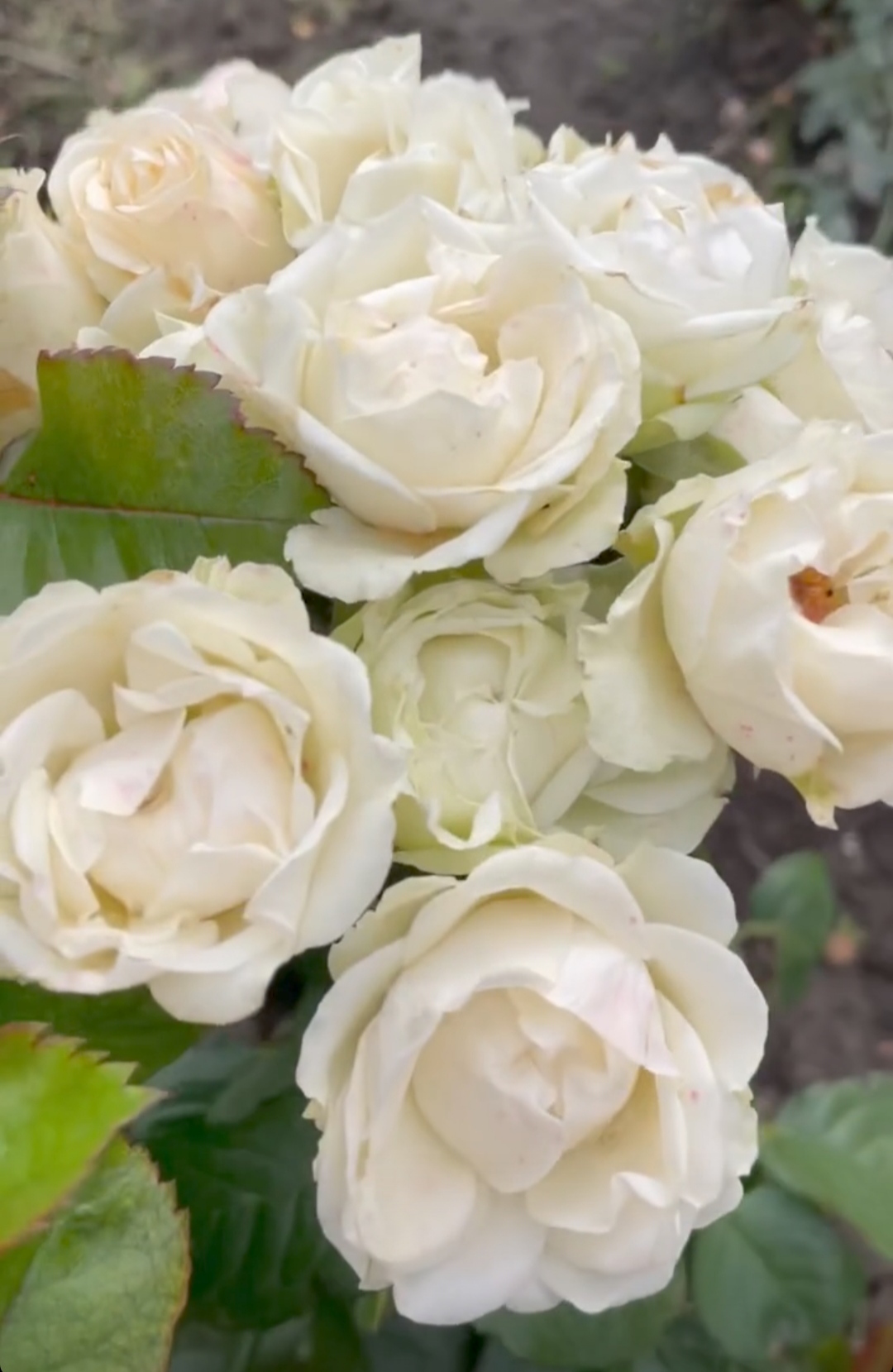 Доброе утро, Мир❤️❤️❤️