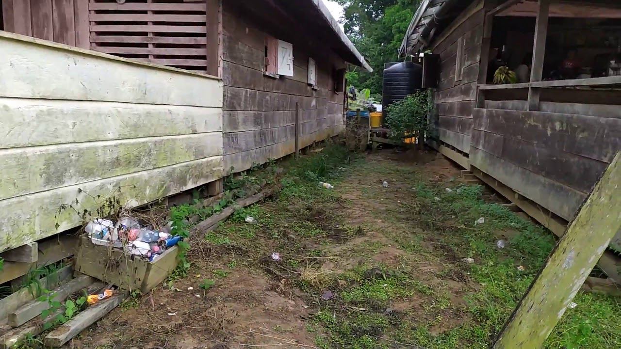 Поселок Melogie в джунглях 2.mp4