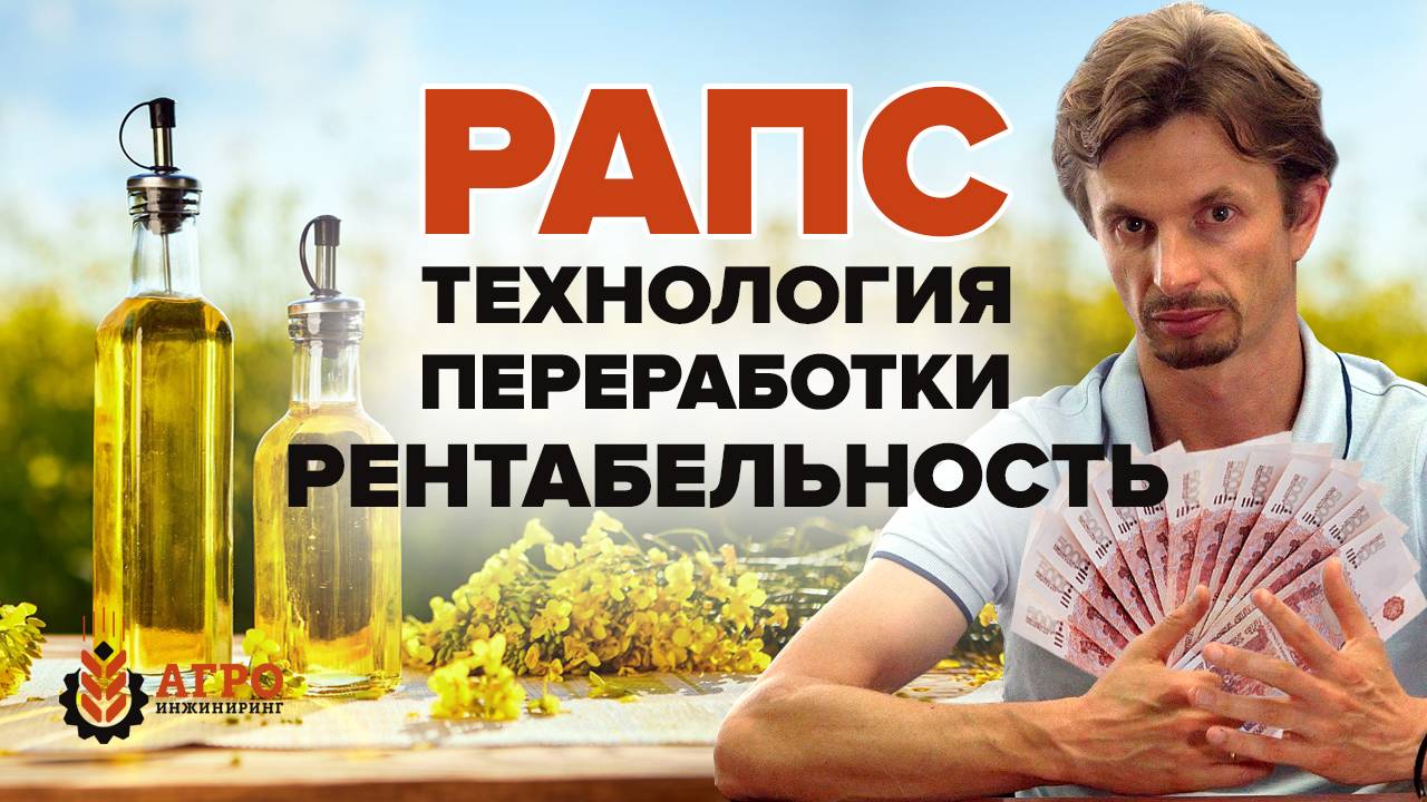 Переработка рапса. Расчет рентабельности маслозавода.