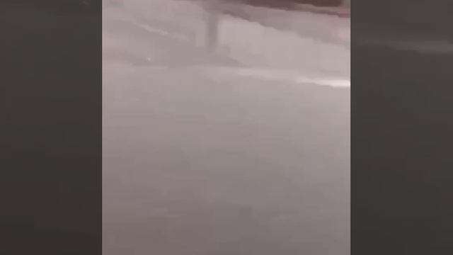 Красавцы))))