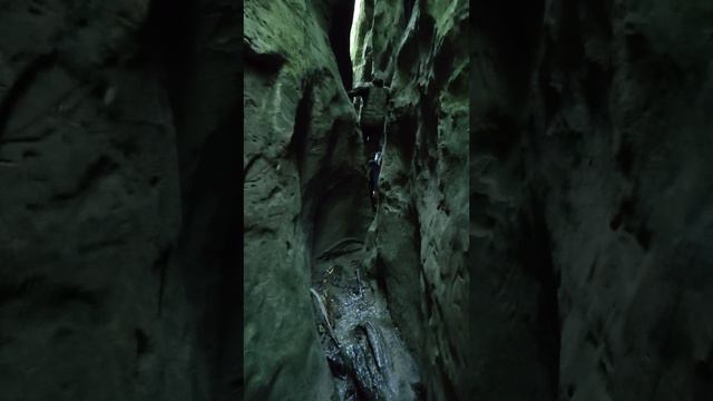 Волчьи врата