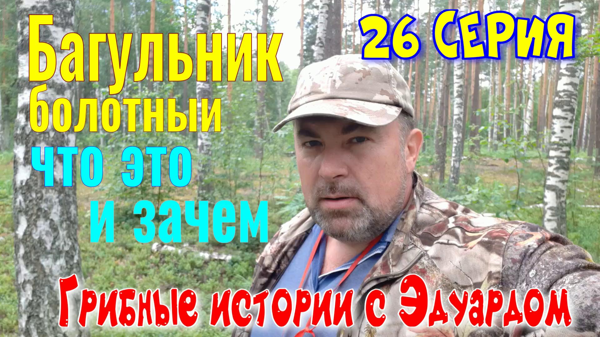 БАГУЛЬНИК болотный – Шикарное Средство от МОЛИ. Грибные Истории с Эдуардом. 26 Серия