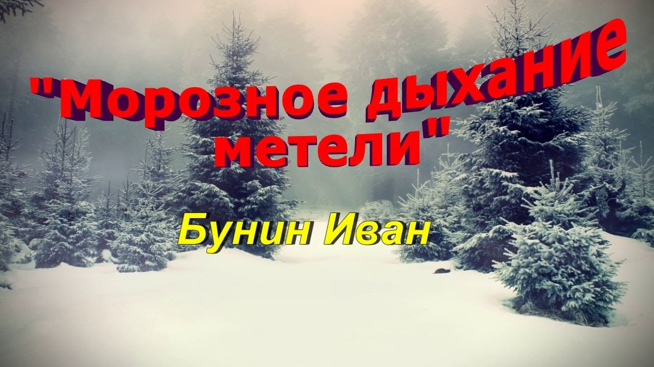 Стихотворение "Морозное дыхание метели" Бунин Иван