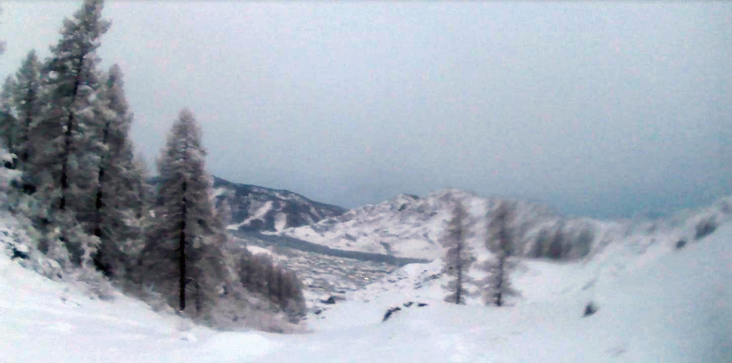 Утреняя прогулка по зимнему лесу 1 января.Только рассвело снега много.Горный Алтай зимой.