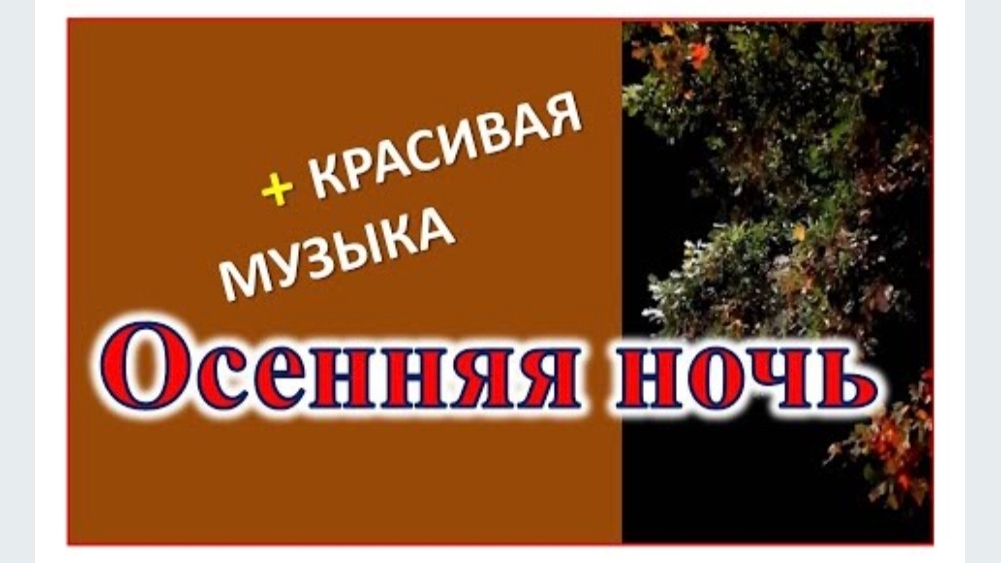 Осенняя ночь. Александра Миркушова