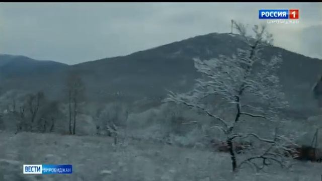 12.11.202.1 В ЕАО  бушующий циклон продолжался несколько дней