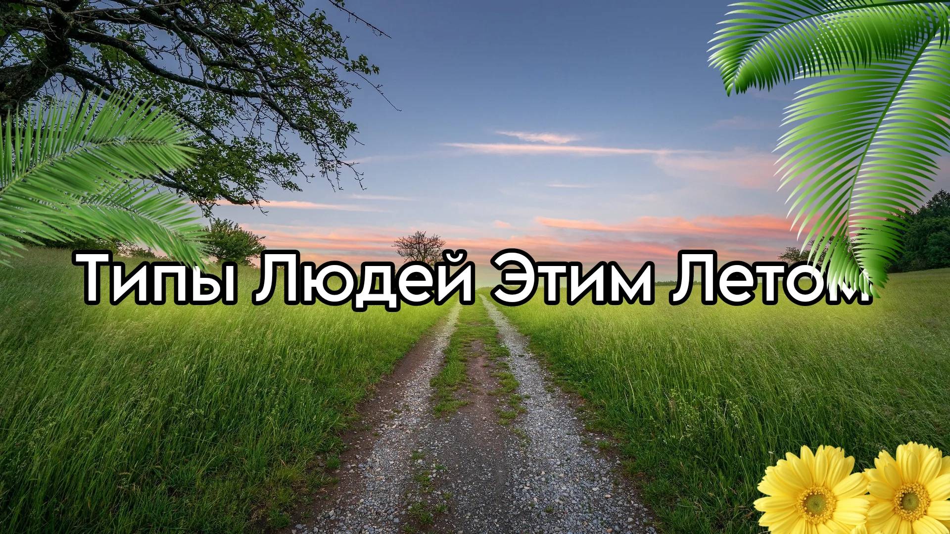 Типы Людей Этим Летом