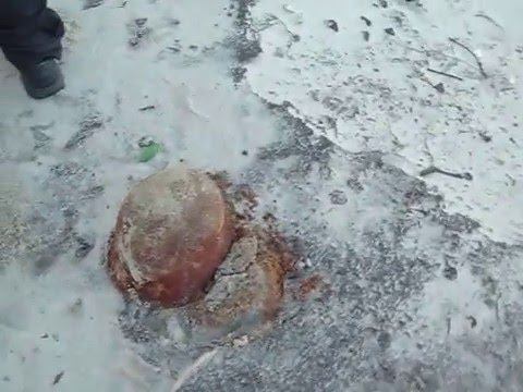 Коп по войне.  уникальная шапка). garrett 2500 pro.