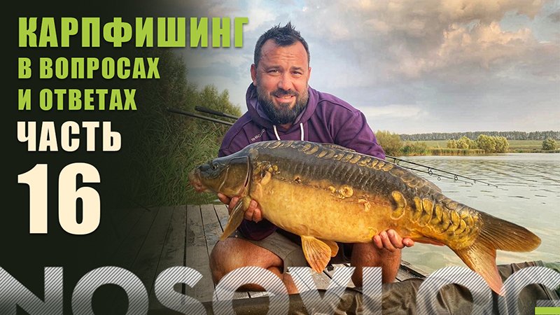 Карпфишинг в вопросах и ответах, выпуск 16, Колесников А.