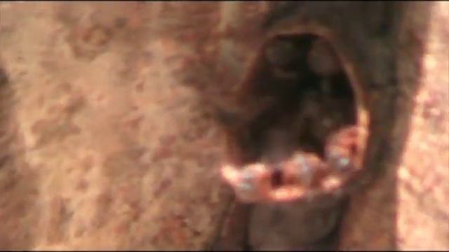 Lens_  Коба _  Coba, Мексика