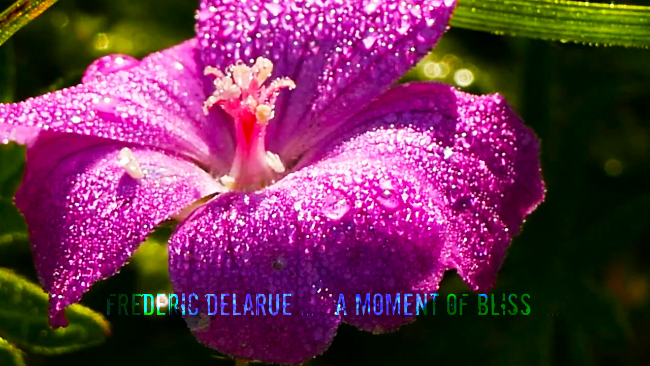 Frederic Delarue    A Moment of Bliss*