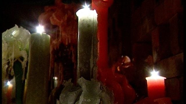 Плазменные цветы, походы и немного мистики