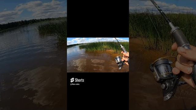 в этой заводи