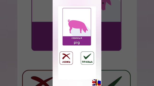 Проверь свой английский. Английский на английском 👩💻🧑💻👩❤️👨