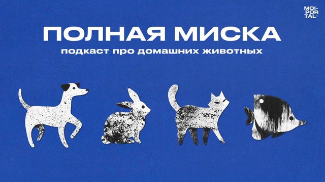 Полная миска | Собаки на службе