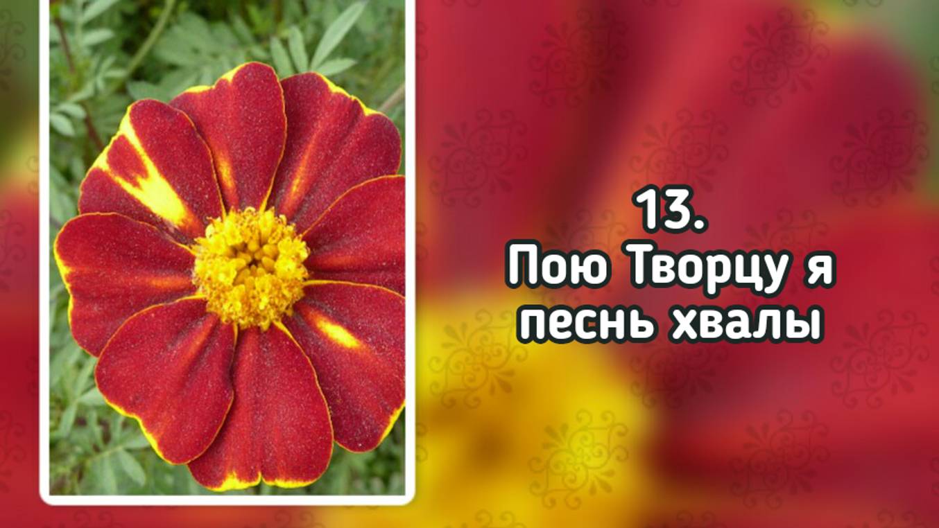 Гимны надежды 13 Пою Творцу я песнь хвалы (-)