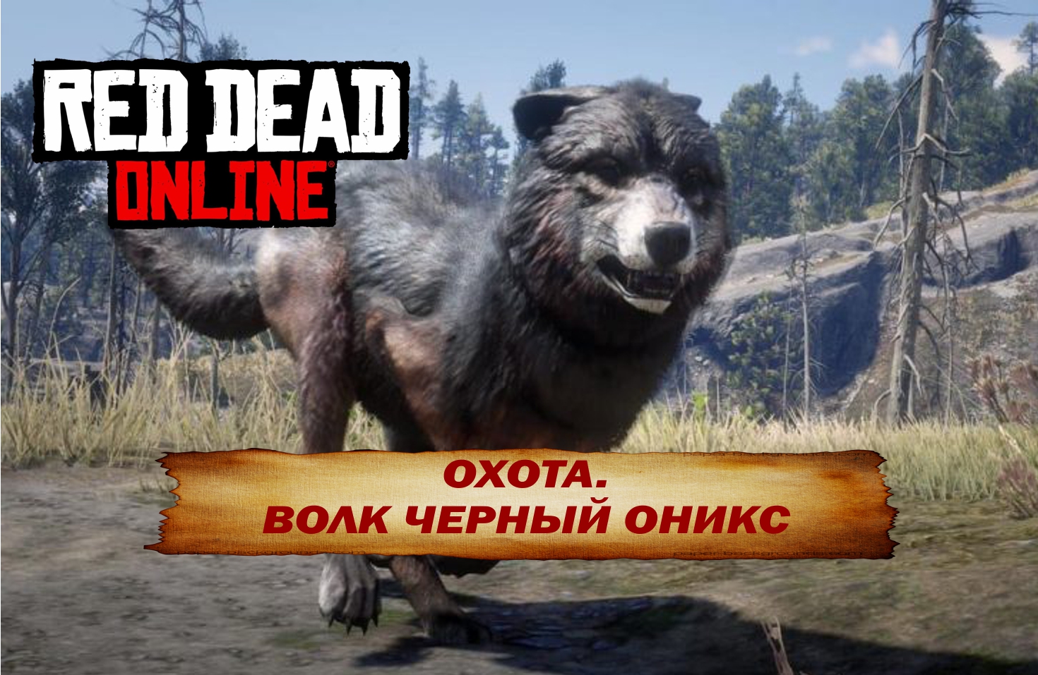 РДР Онлайн. Волк Черный Оникс. Читеры в сессии!!!