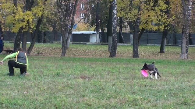 Фризби Фристайл Елена и Мышь Осенний вальс.mp4