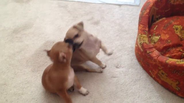 Юлька и Боня - детство