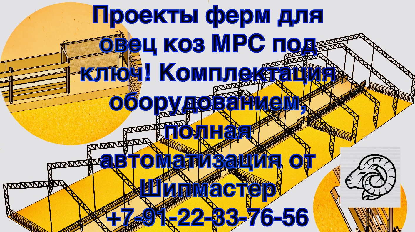 Промышленное козоводство | промышленное овцеводство: проекты ферм овец баранов коз МРС от Шипмастер