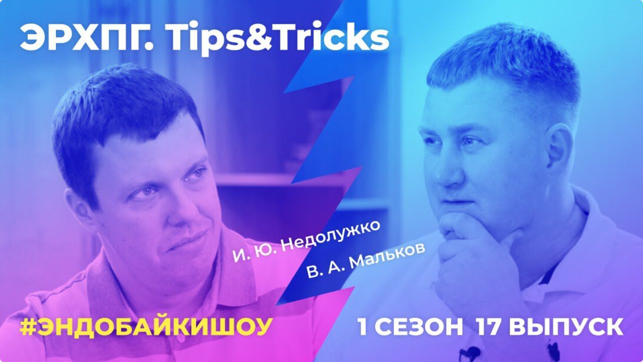#ЭНДОБАЙКИШОУ. СЕЗОН 1, ВЫПУСК 17. ЭРХПГ. Tips&Tricks