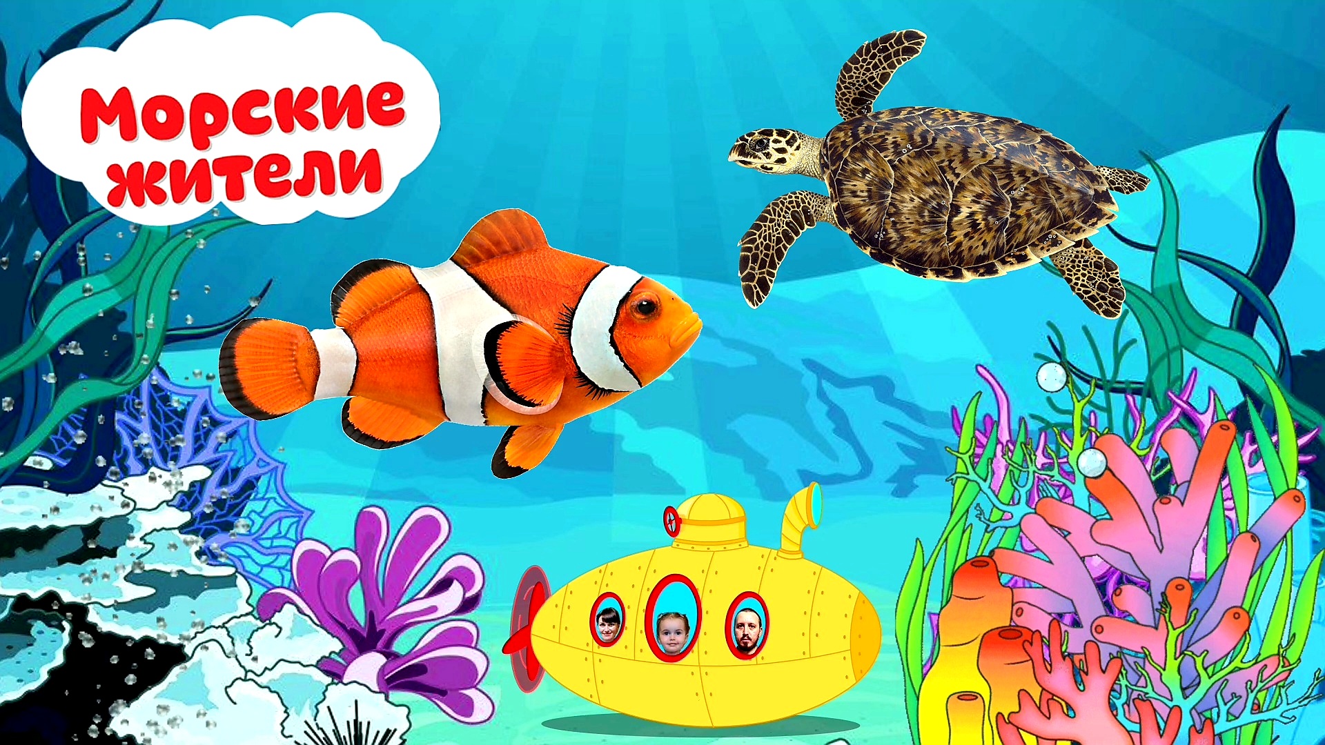 Морские животные для детей - Учим морских животных - Мультик морские животные - Морские животные.