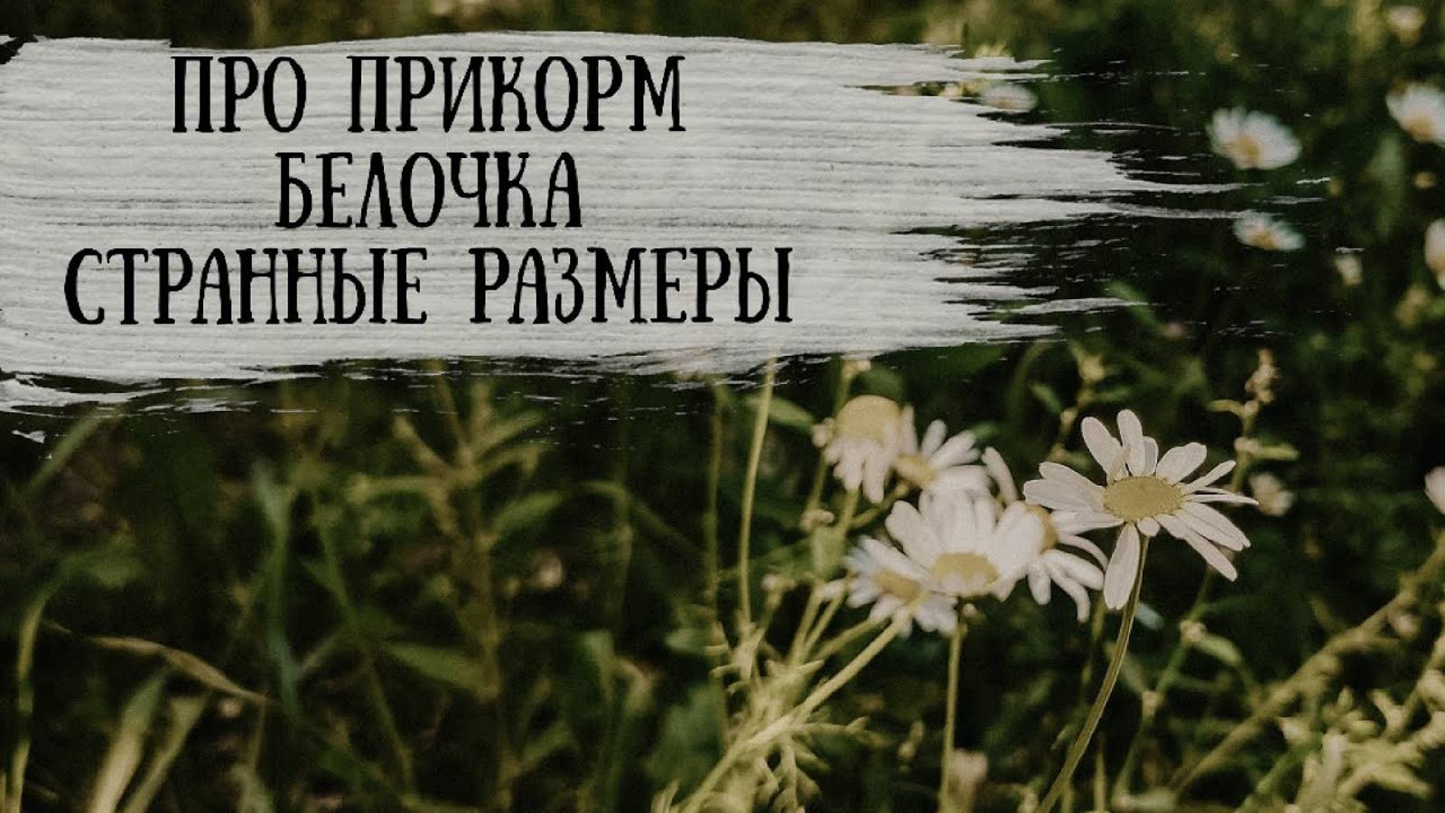 Когда вводить прикорм I Малышка пытается сесть