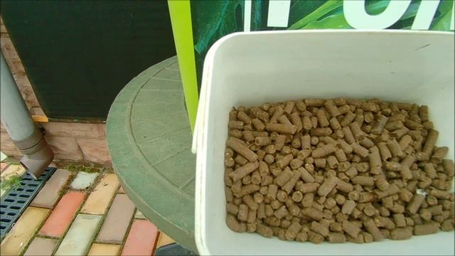 Грунт Лечуза пон, удобрение Биоуд. замазки для бонсай 2020 Soil Lechusa pon