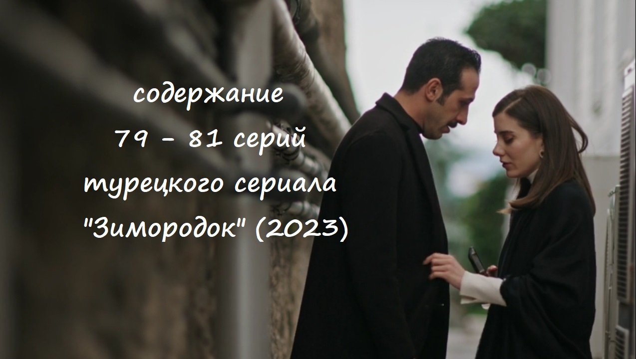 Содержание 79, 80 и 81 серий турецкого сериала "Зимородок" (РФ, 2023)