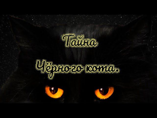 Фильм Коллекта. Тайна чёрного кота