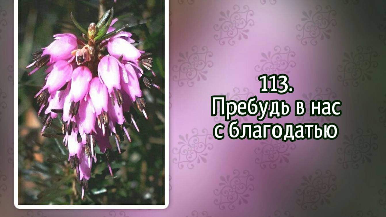 Гимны надежды 113 Пребудь в нас с благодатью (-)