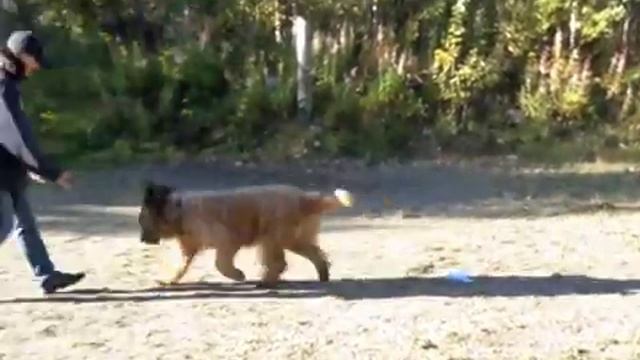 Моника выборка 2011.