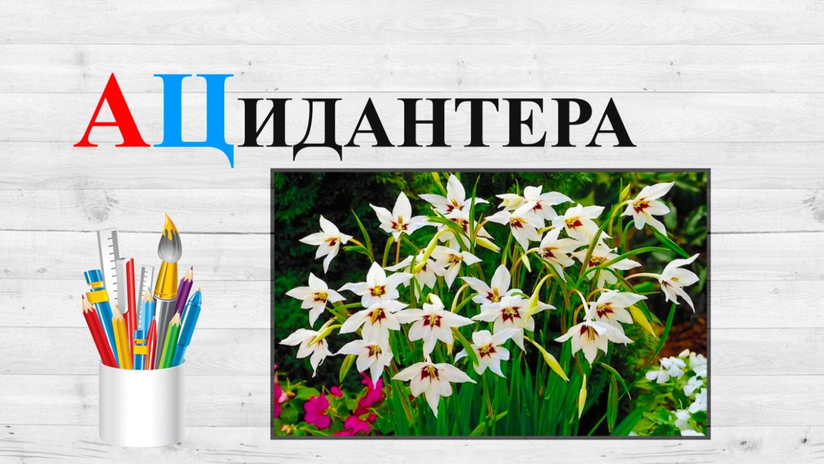 Звук Ц. АЦ. Учим буквы.