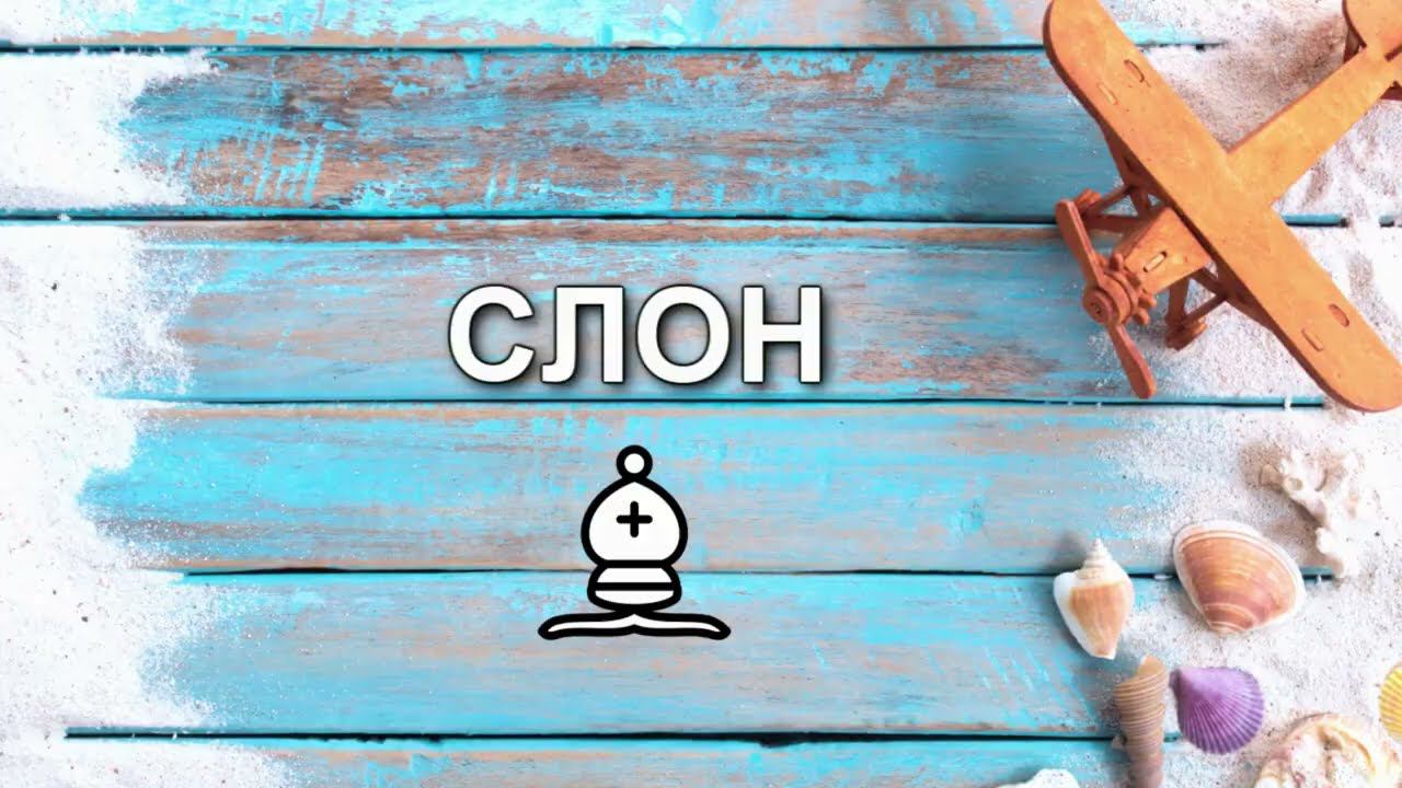 СЛОН: ХОД, НАПАДЕНИЕ, ВЗЯТИЕ И ШАХ. Тренер Арно.