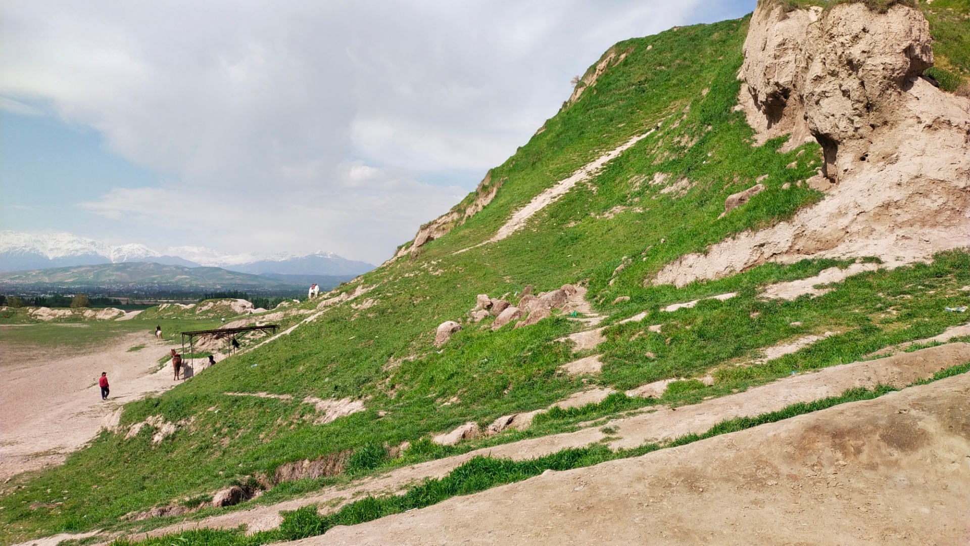 Буроугольный биогель-гумат восстановитель земель и пастбищ