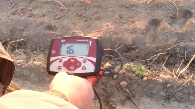 коп с минелаб x-terra 305