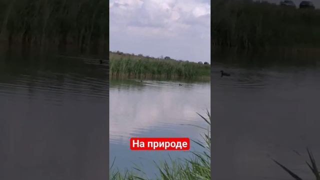 отдых на природе