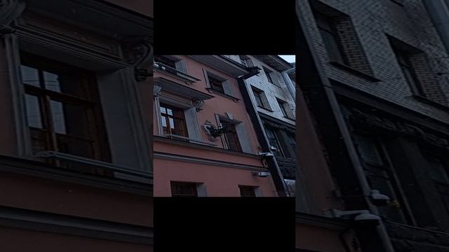 Гуляю по Сенной