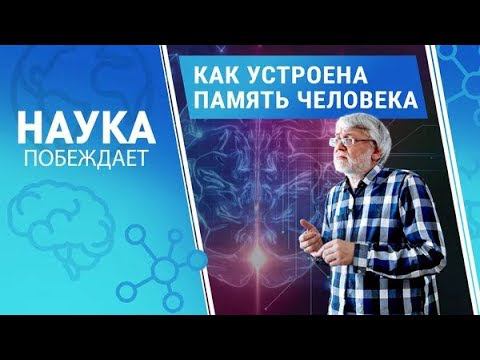 Память человека:  как мозг сохраняет информацию | ИНТЕРВЬЮ СО СПЕЦИАЛИСТОМ