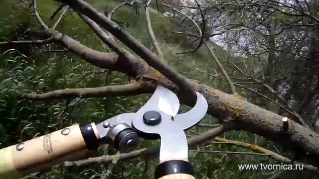 Сучкорез Okatsune № 220