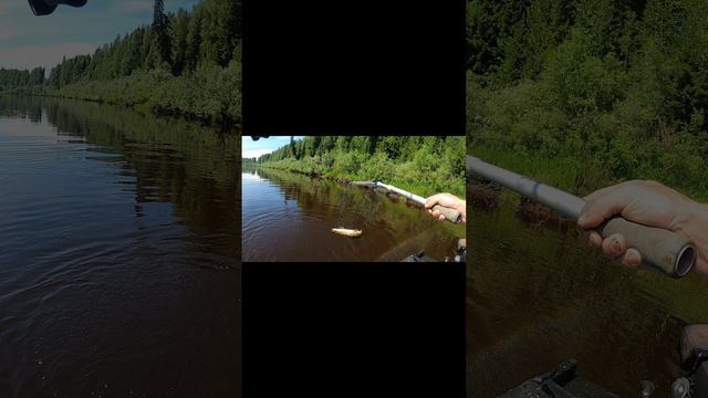 вот и поймали