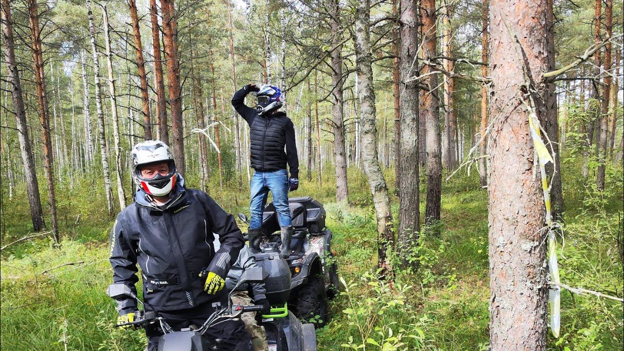 лесной Квадро прохват