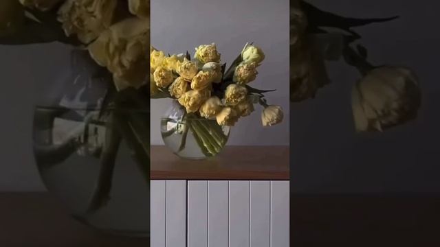 Весна Uliana music