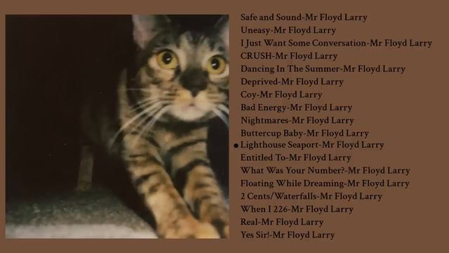 Rare psychedelic soft indie rock songs to lay in the snow and contemplate life