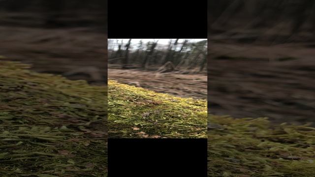 Хроники 2…