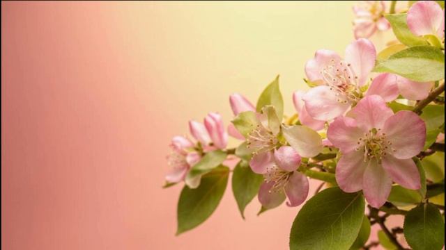 "Книга Пророка Исаии" / 48 ГЛАВА